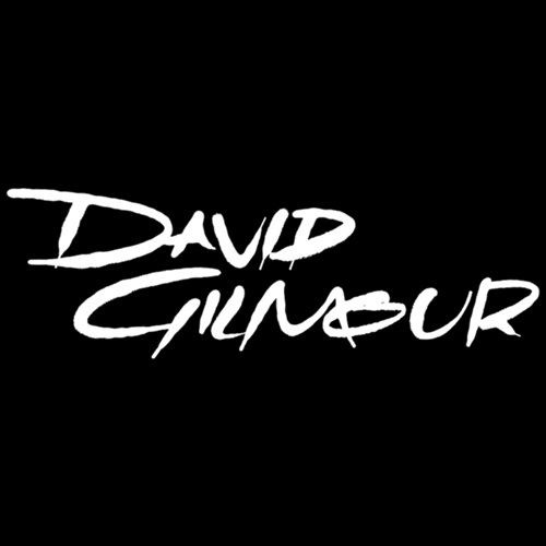 David Gilmour Logo