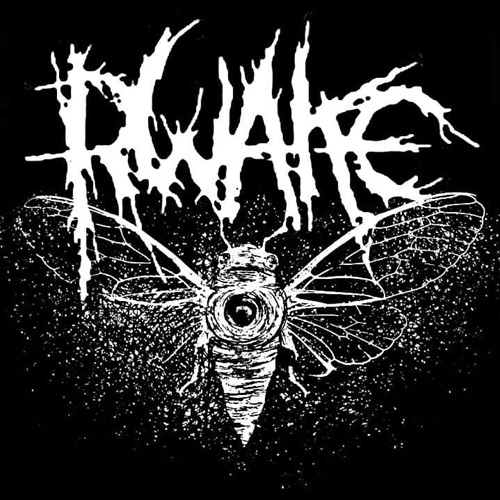 RWAKE: "The Return Of Magik" gleicht einer emotionalen Reise - MY ...